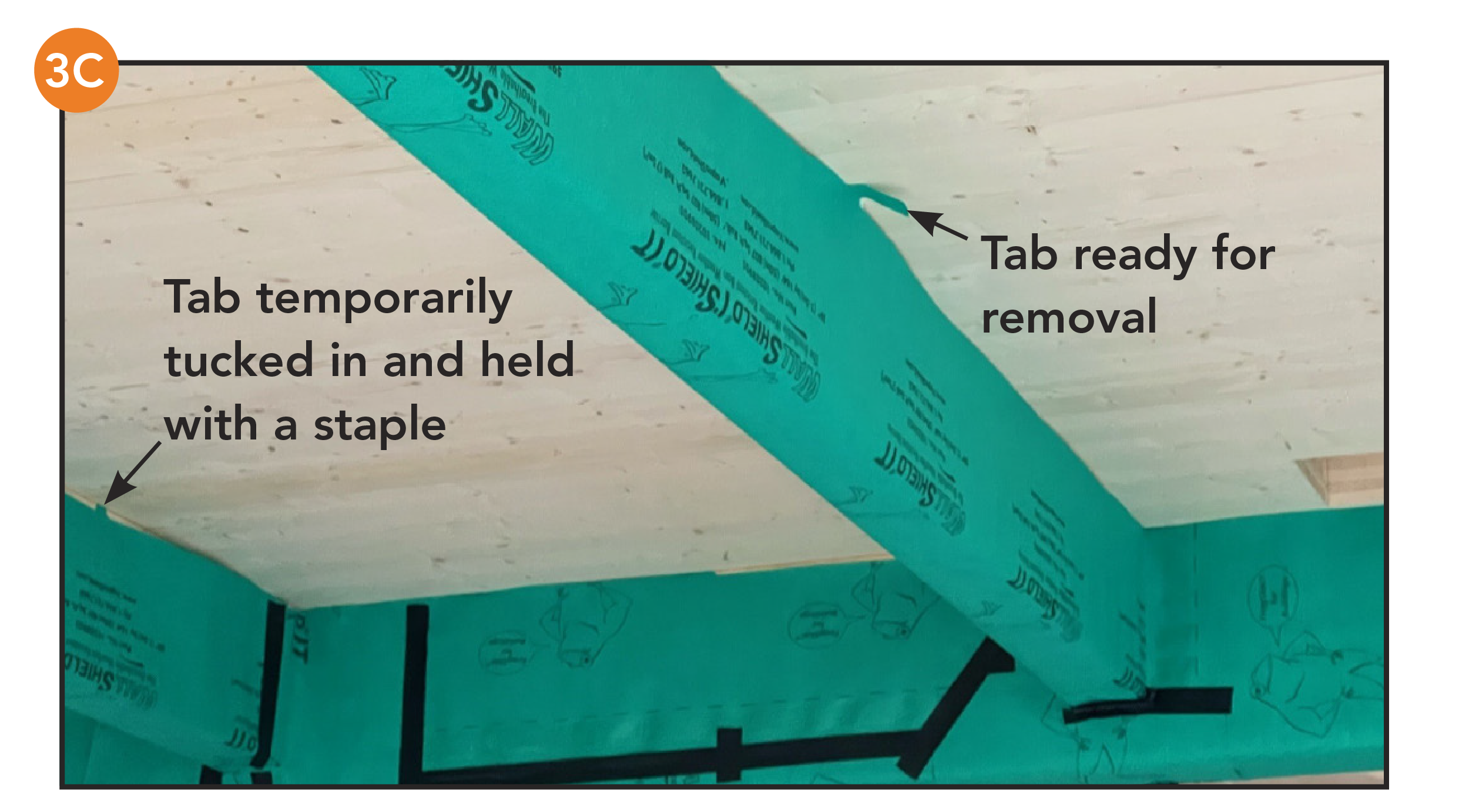 Mass Timber Installation